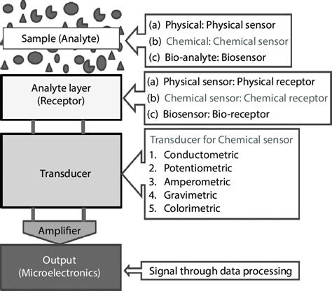 1 Schematic Representation Of Simplified Sensor Set Up Download Scientific Diagram