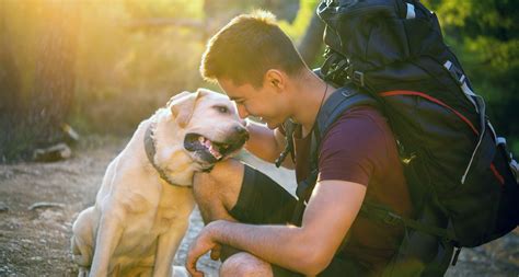 Everything You Need To Know About Hiking With Dogs