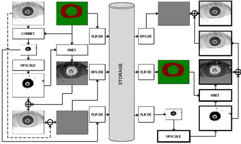 the deep learning based iris compression model download scientific