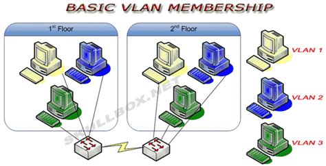 DIAGRAM Wireless Vlan Diagram MYDIAGRAM ONLINE