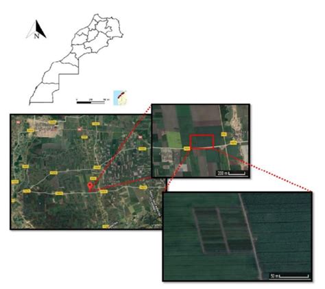 Agriengineering Free Full Text Mapping Wheat Dry Matter And Nitrogen Content Dynamics And