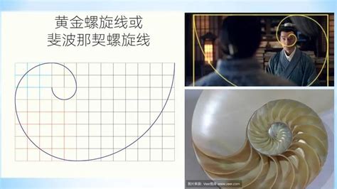 讲座3递归算法案例分析之斐波那契数列 轻识