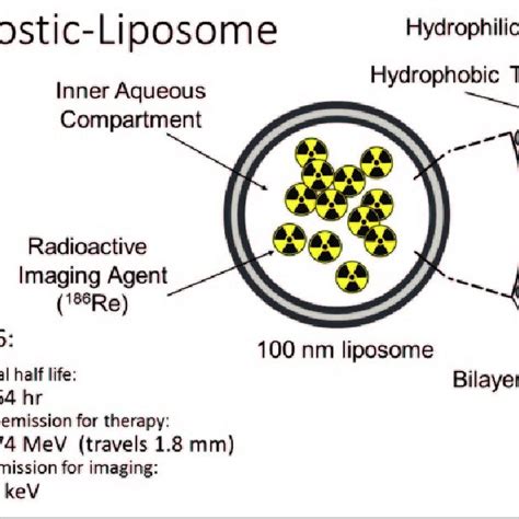Theranostic Liposome Formulation With Rhenium 186 Encapsulated In The