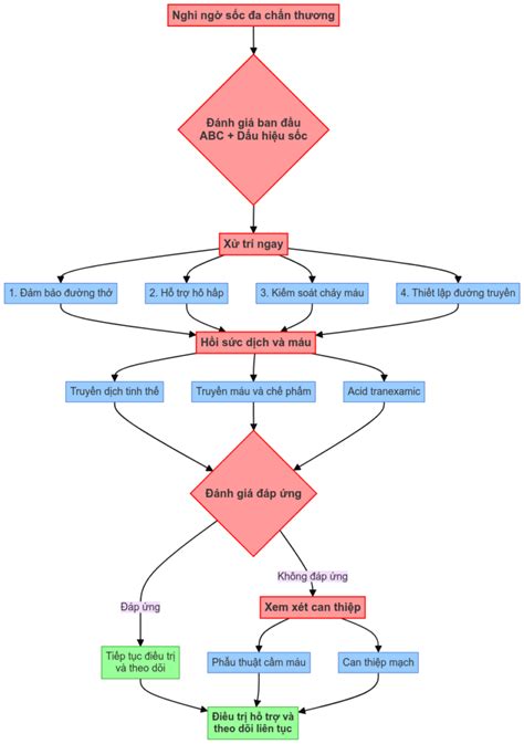 Phác đồ Chẩn đoán Và điều Trị Sốc đa Chấn Thương Y HỌc LÂm SÀng