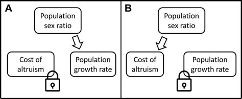 The Population Sex Ratio Population Growth Rate And The Cost Of