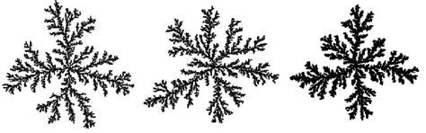 A Clusters With 10 5 Particles Generated By The Dla Model And