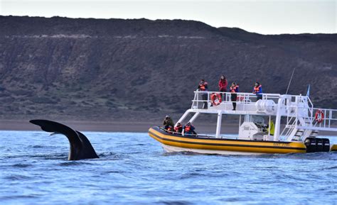 Vacaciones De Invierno En Puerto Madryn La Emoción De Los Primeros