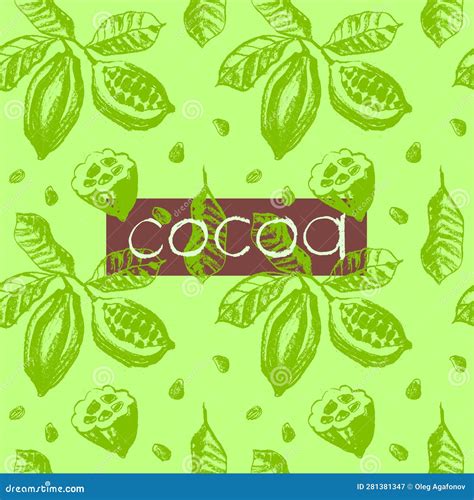 Vector Cocoa Fruits Pattern Seamless With Cocoa Bean Hand Drawn Illustrations On Green