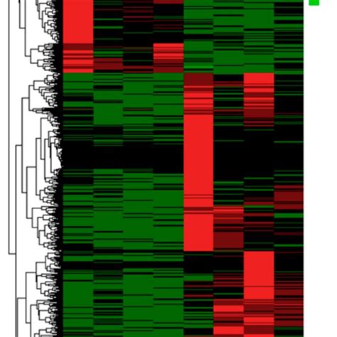 Heatmap Of Each Patients Gene Expression Rows Represent Each Sample