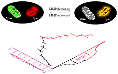 Colocalization Coefficients Of A Target Switchable Fluorescent Probe