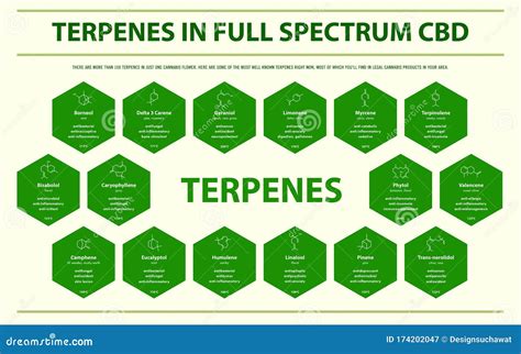 Infographic Of Spectrum Color Sound Waveform Chart Graph Concept