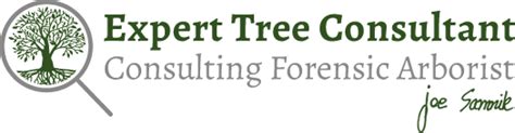 Forensic Arborist Joe Samnik Expert Tree Consultant