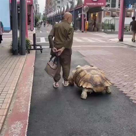 An Elderly Man Hisao Mitani Walks Down A Traditional Street In