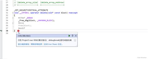 （vs报错）已在 xxxxx exe 中执行断点指令 debugbreak 语句或类似调用 解决方法andandc 自定义对象数组 vs已在