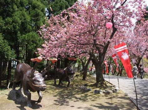 倶利伽羅源平古戦場スポット公式石川県の観光 旅行サイトほっと石川旅ねっと