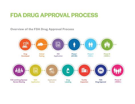Diagram Of Accelerated Drug Approval Process Generic Drug Ap