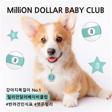 포트폴리오 밀리언달러 베이비클럽