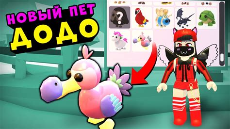 Новый ПЕТ ДоДо в Роблокс Адопт Ми Новости и Секреты обновления в Roblox Adopt Me Dodo Youtube