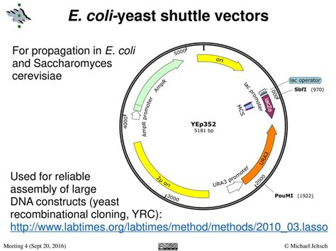 Shuttle Vector At Collection Of Shuttle Vector Free
