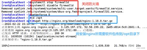 linux系统 安装使用nginx 技术分享 云服务器