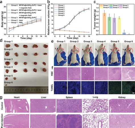 Multifunctional Superparticles For Magnetically Targeted Nir‐ii Imaging