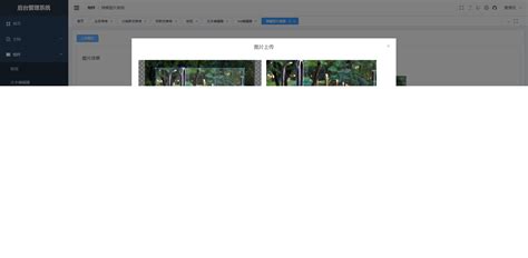 Github Cmdparkour Vue Admin Box Vue Vite Element Plus