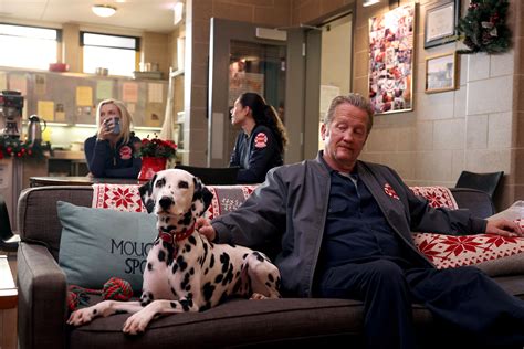 Firehouse Dog A History Of Fire Dogs And The Lives Theyve Saved The