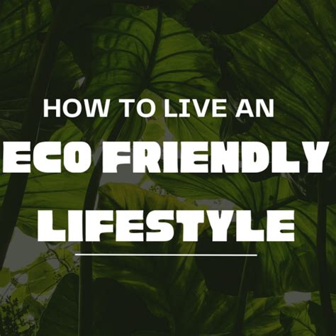 Sustainable Lifestyle Rating Dataset Kaggle