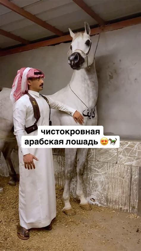 Мама я в Саудовской Аравии Saudi • Instagram Photos And Videos