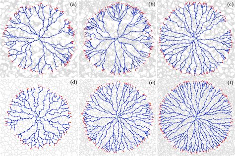 figure 1 from shape of shortest paths in random spatial networks