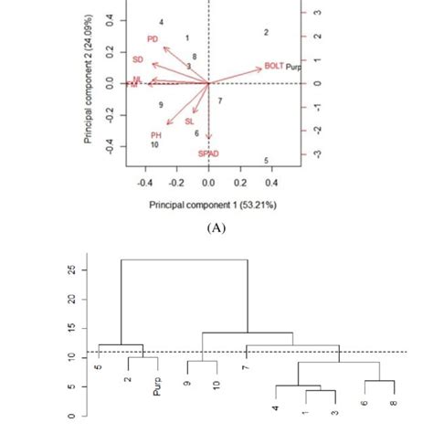 Multivariate Principal Component A And Cluster B Analysis Of Download Scientific Diagram