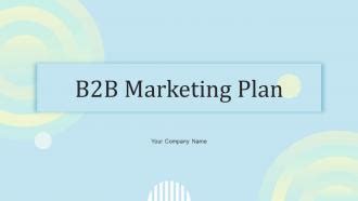 B B Marketing Plan Powerpoint Ppt Template Bundles PPT Slide