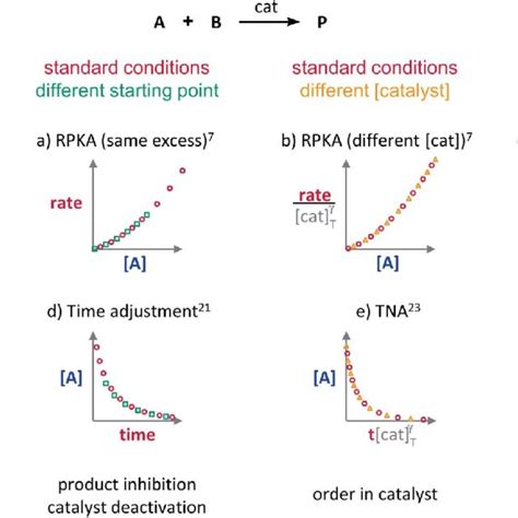 Rate Or Normalised Rate Against Substrate Plots Enable The Extraction