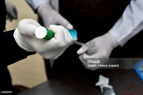 실험실에서 감자 잎 Dna 추출 절차 Dna에 대한 스톡 사진 및 기타 이미지 Dna Dna 분리 Stem 주제 Istock