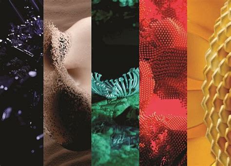 Predicting Trends Analyzing The Impact Of Color Prediction On Fashion Canadian Menus