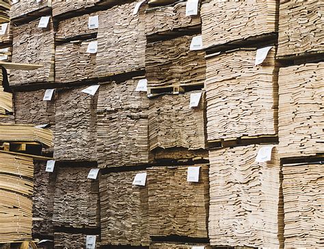 A Guide To Timber Veneer