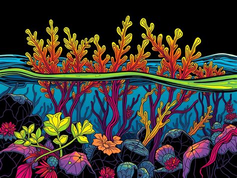 Harnessing The Potential Of Macroalgae A Review Of Pyrolysis For