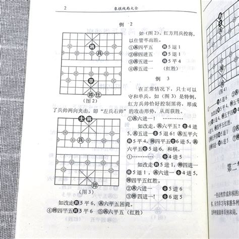 正版 象棋残局大全 象棋杀法与残局功夫残局定式要领残局定式大全中国象棋书籍
