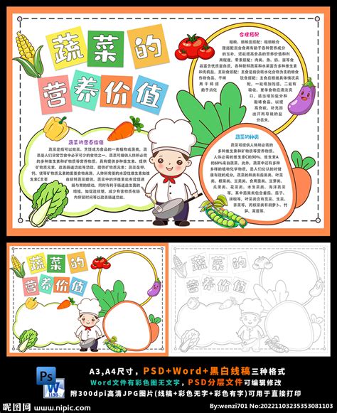 蔬菜的营养价值小报设计图 其他 广告设计 设计图库 昵图网nipic