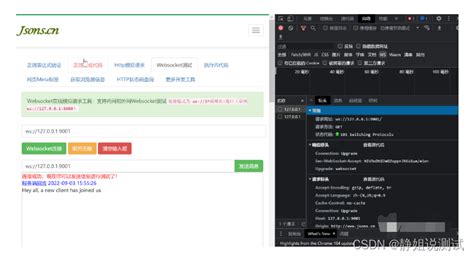 websocket 接口测试：打通前端与后端的通信之路！ 前端websocket测试 csdn博客