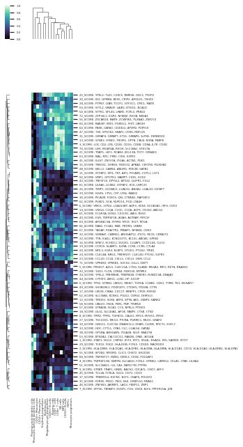 GRN Inference On Pre Trained Model ScGPT 0 2 1 Documentation