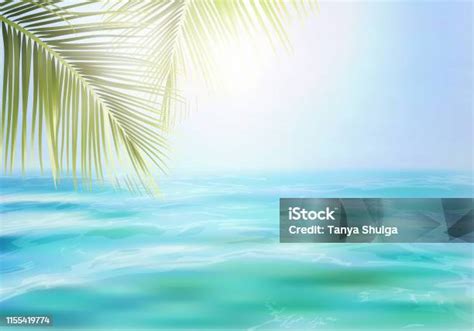 여름 배경 아름 다운 밝은 바다 푸른 하늘과 야자수 잎과 열 대 해변의 자연 해변에 대한 스톡 벡터 아트 및 기타 이미지 해변 배경 주제 야자 나무