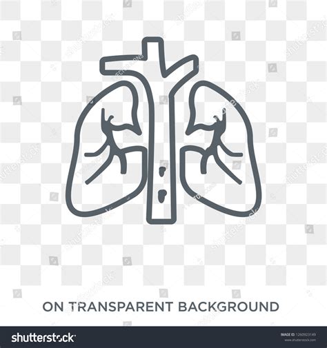 Pulmonary Embolism Icon Trendy Flat Vector Stock Vector Royalty Free 1260923149