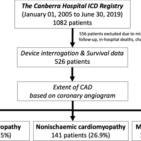Is The Flow Diagram Illustrating The Selection Of The Patients From The Download Scientific