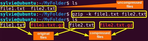 The Gzip Command In Linux 9 Practical Examples The Gzip Command In Linux 9 Practical Examples