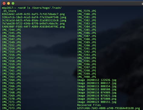 Macのターミナルで「operation Not Permitted」権限エラー発生時の対処法 あいしんくいっと