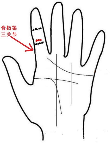 食指的第三关节在哪里 百度知道