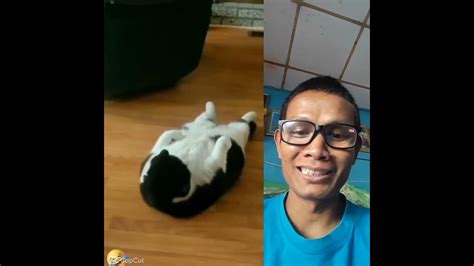 ម្យ៉ាងម្នាក់ទេ បែបខុសគ្នា Happy Funny Missyou Memes Cat Comedy Duet Youtube