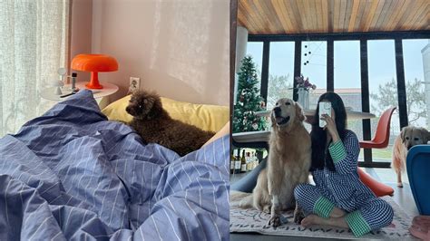 Vlog 강아지 셋 개집사의 전원주택 브이로그음양탕 애사비 선식 일리커피 독서 갈매기살 또 목욕 오리탕 산책 잘자요 Youtube