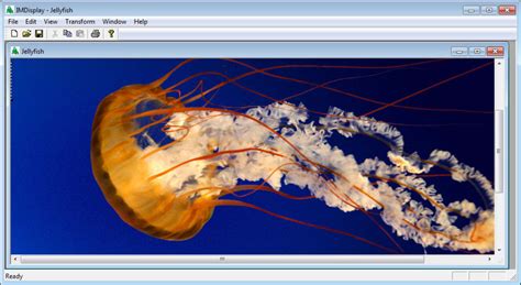 graphicsmagick download